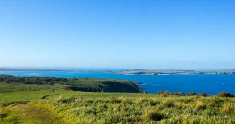 3 Nights/ 4 Days Melbourne Tour Package for Family - TrekHops